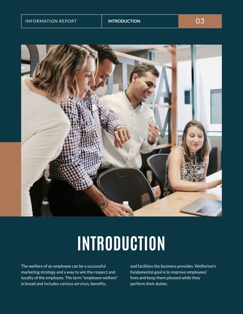 Information Report Template | Visme