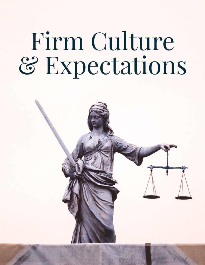 Internship Orientation Guide Template | Visme