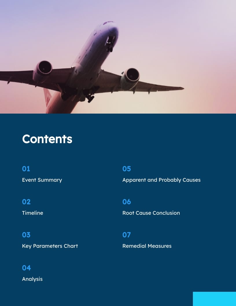 Investigation Summary Report Template | Visme