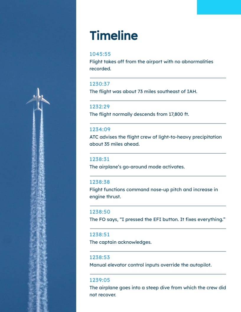 Investigation Summary Report Template | Visme