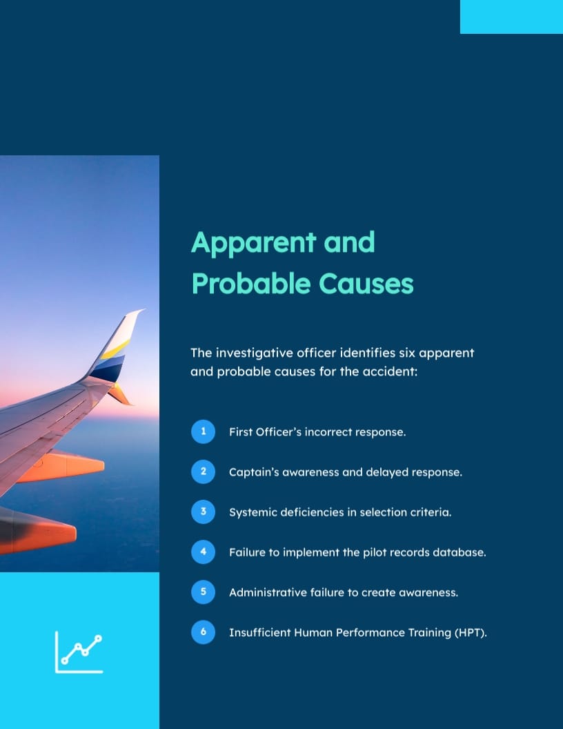 Investigation Summary Report Template | Visme