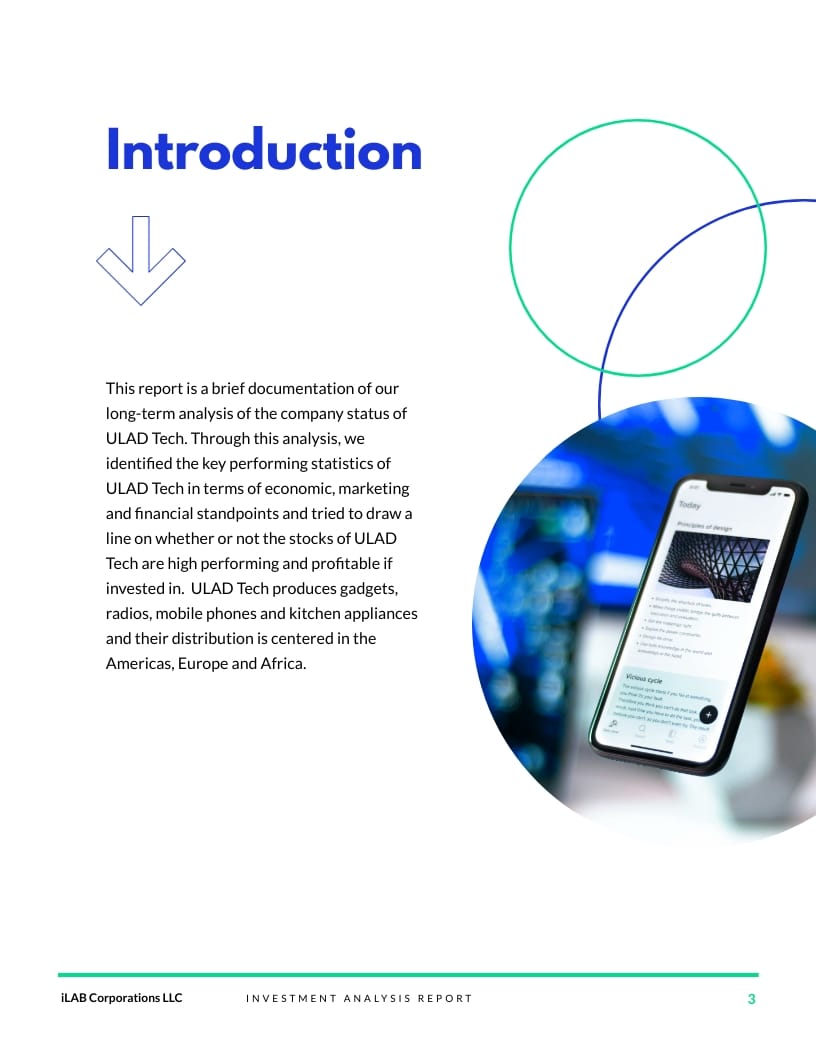 Investment Analysis Report Template | Visme