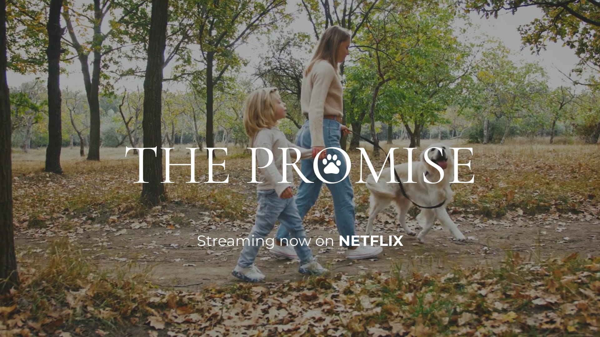 Kids Movie - Trailer Video Template | Visme