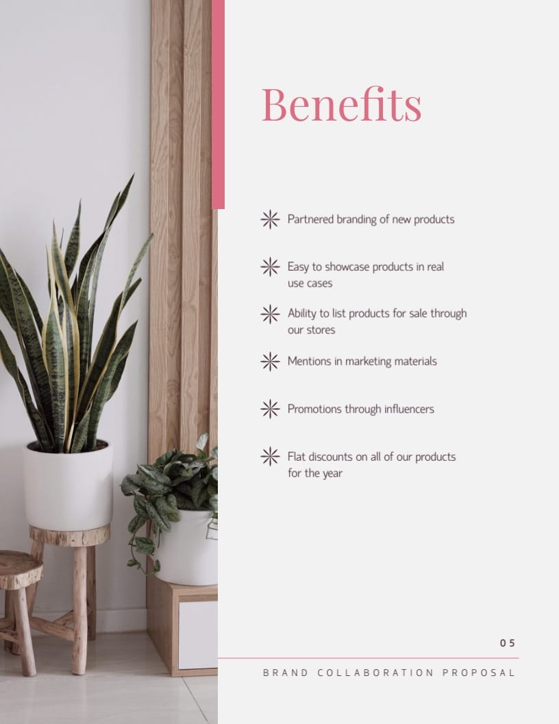 Lifestyle Brand Collaboration Proposal Template | Visme