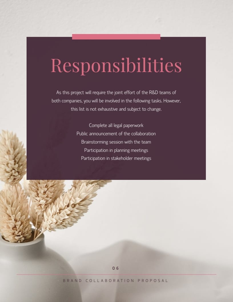 Lifestyle Brand Collaboration Proposal Template | Visme