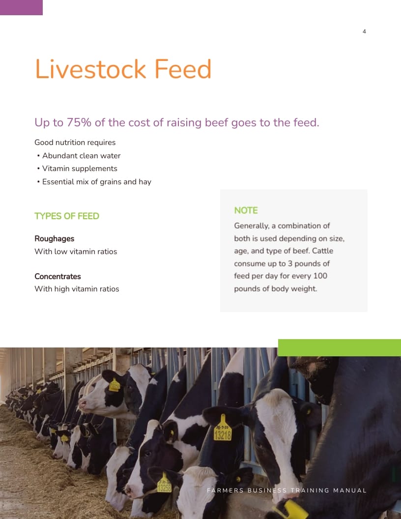 Livestock Business Training Manual Template | Visme