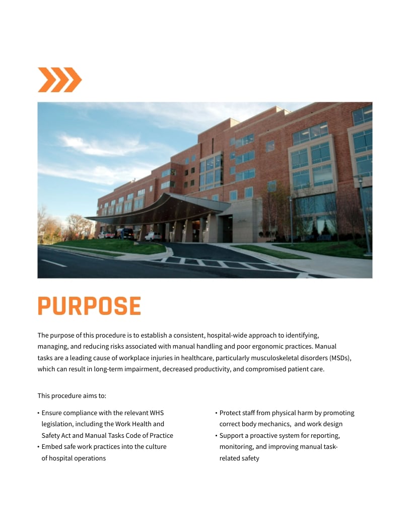 Manual Handling Procedure Plan Template | Visme