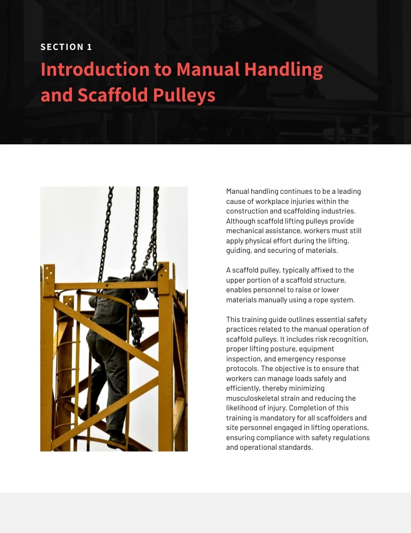 Manual Handling Training Plan Template | Visme