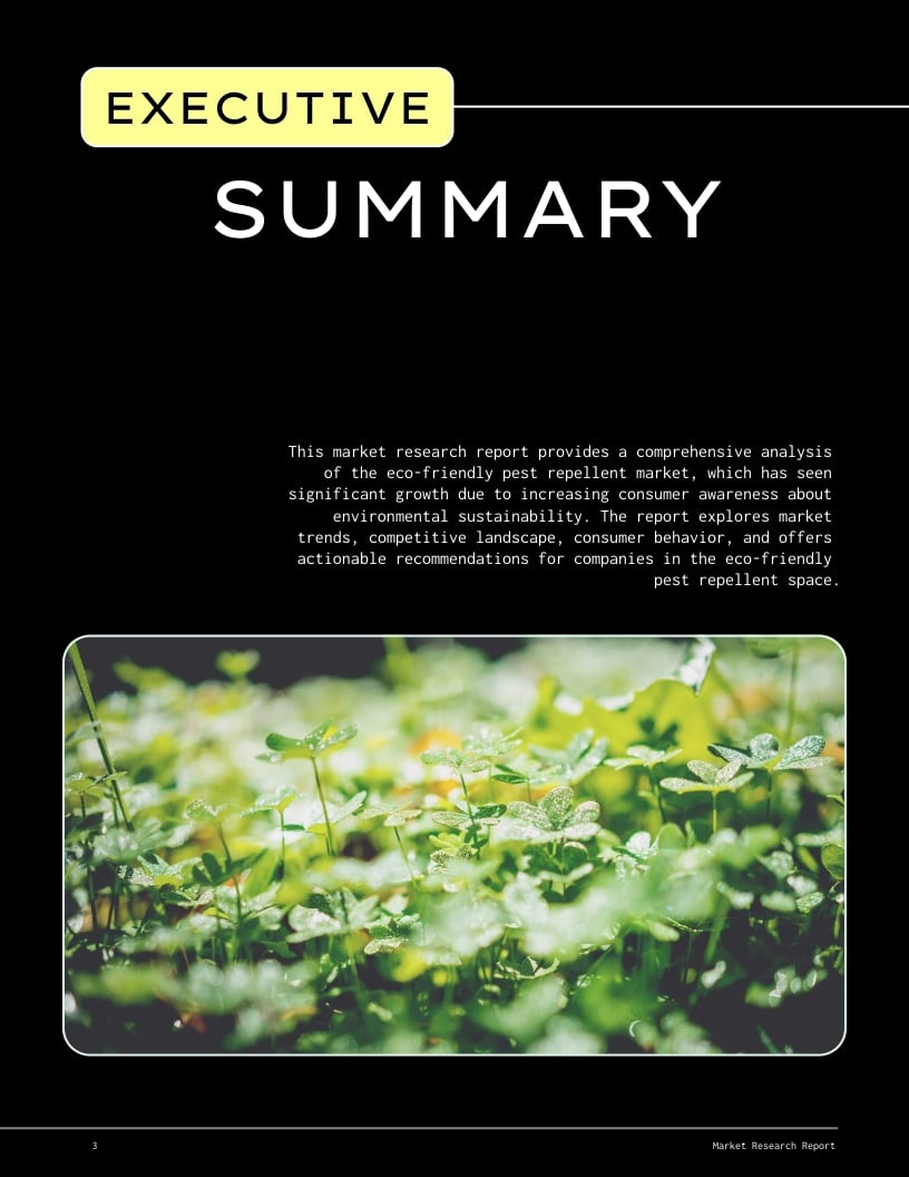 Market Research Report Sample Template | Visme