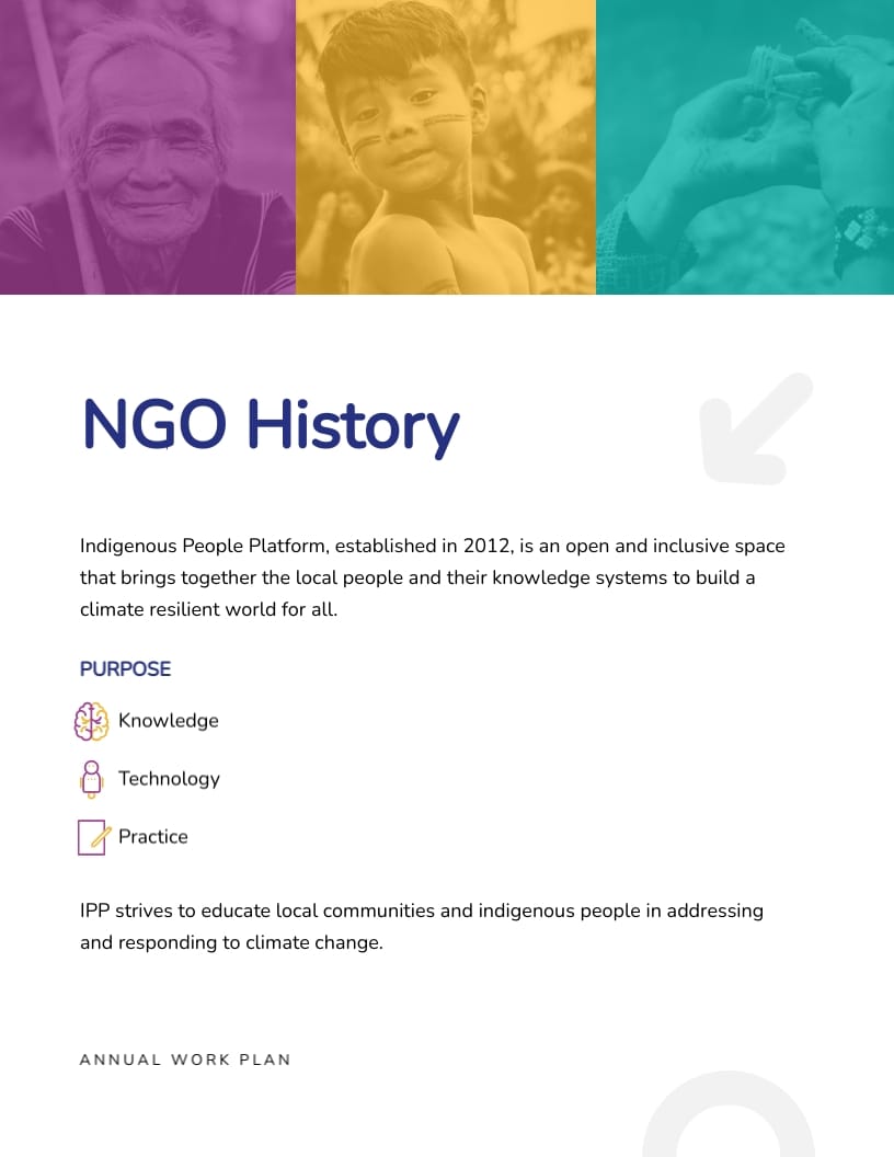 NGO Work Plan Template Visme