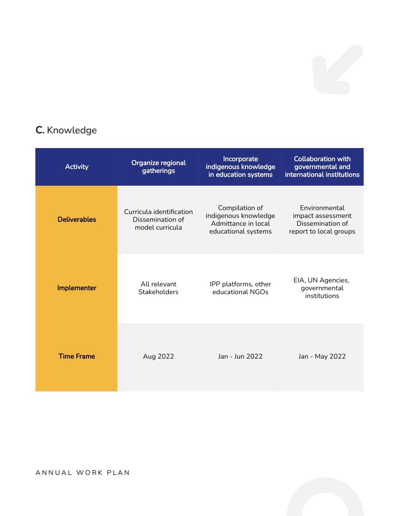 NGO Work Plan Template Visme
