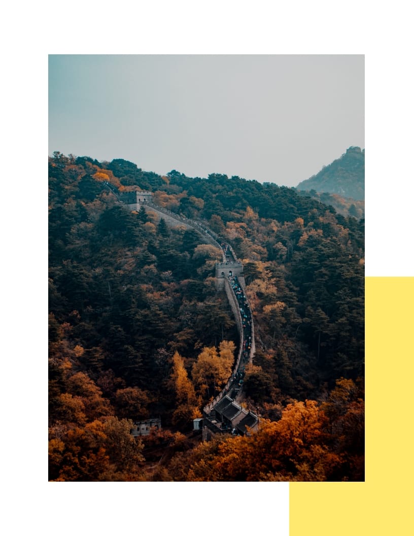 Nature - Magazine Cover Template | Visme