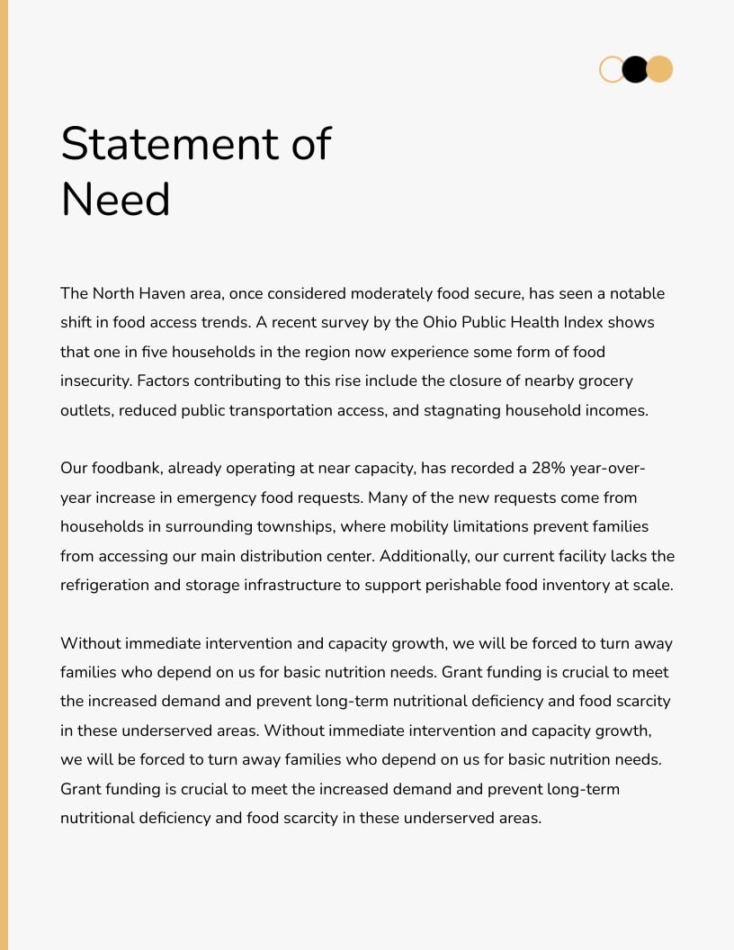 Non Profit Grant Proposal Template | Visme