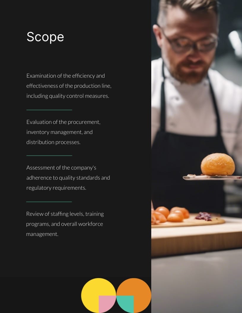 Operational Audit Report Template | Visme