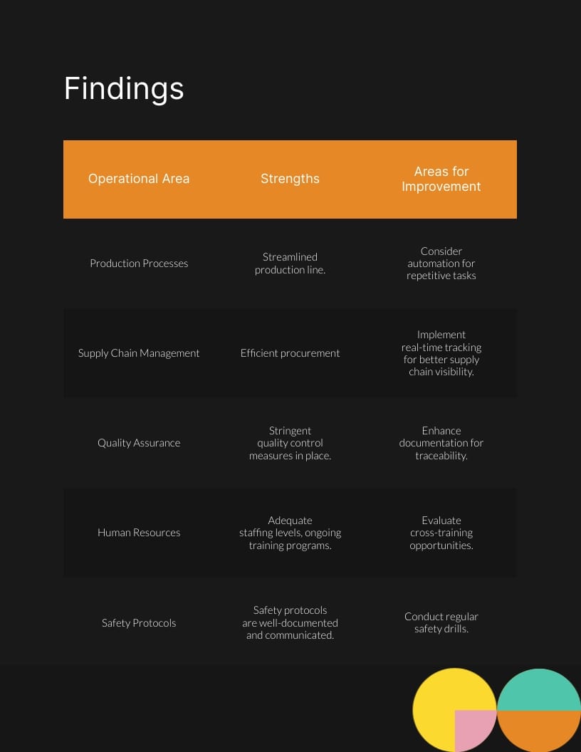 Operational Audit Report Template | Visme