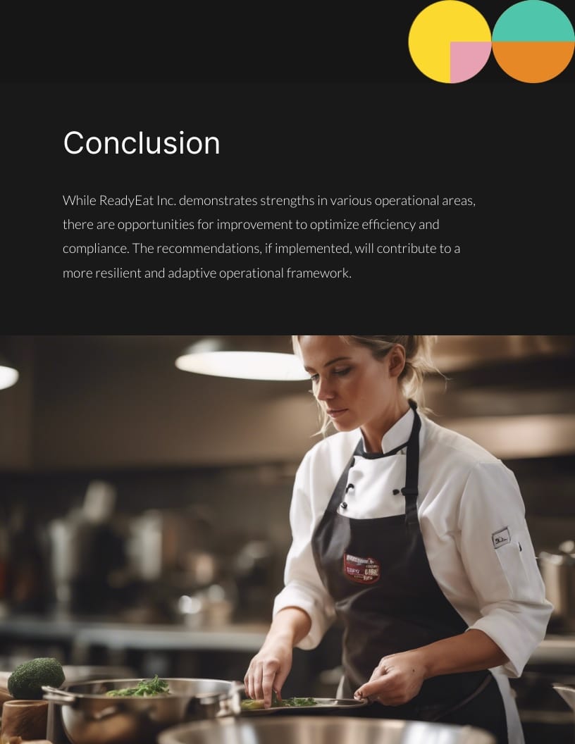 Operational Audit Report Template | Visme