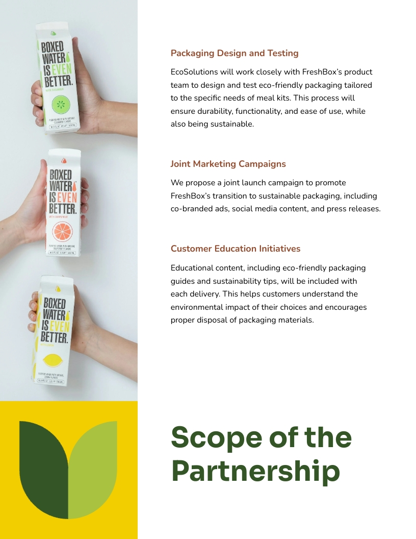 Partnership Proposal Example Template | Visme