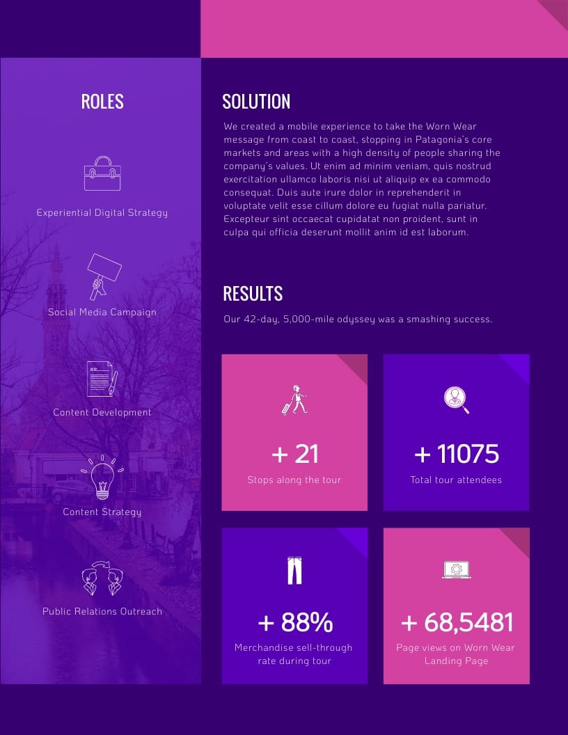 Patagonia Case Study Template | Visme