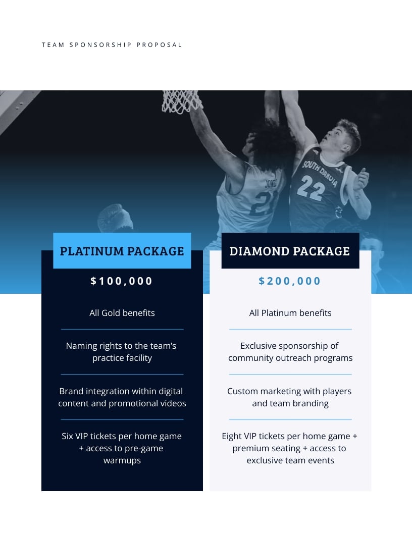 Professional Basketball Team Sponsorship Proposal Template | Visme