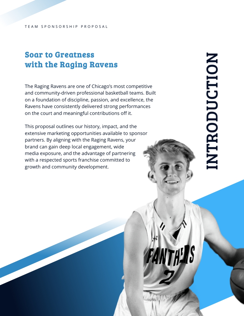 Professional Basketball Team Sponsorship Proposal Template | Visme