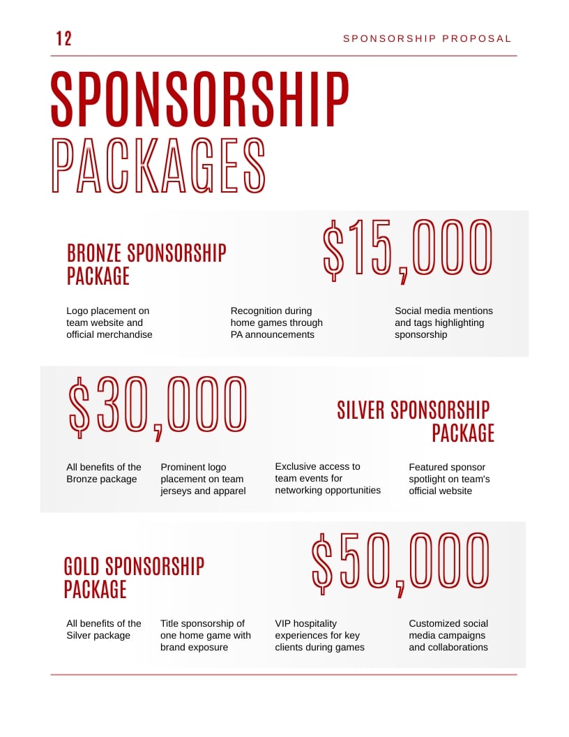 Professional Soccer Team Sponsorship Proposal Template | Visme