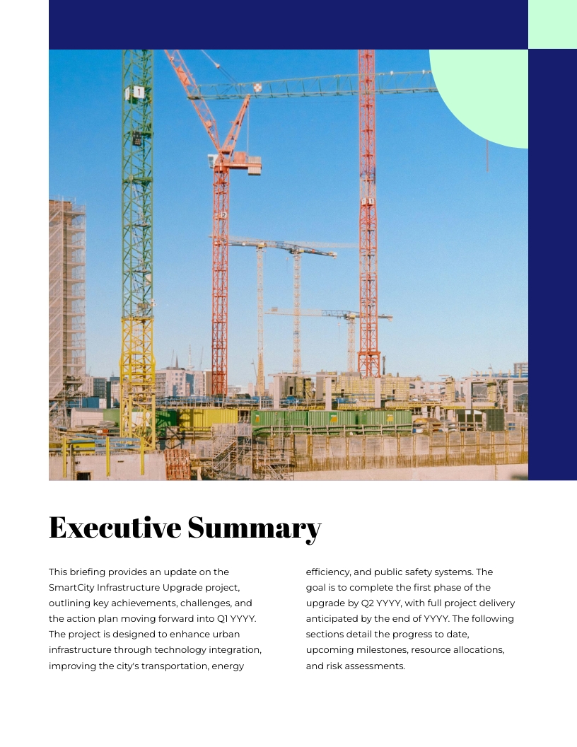 Project Executive Briefing Report Template | Visme