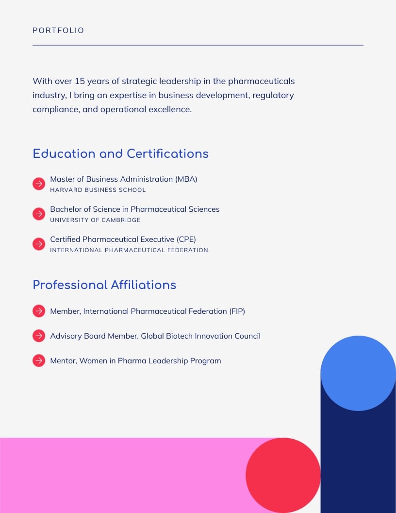 Project Portfolio Management Template | Visme