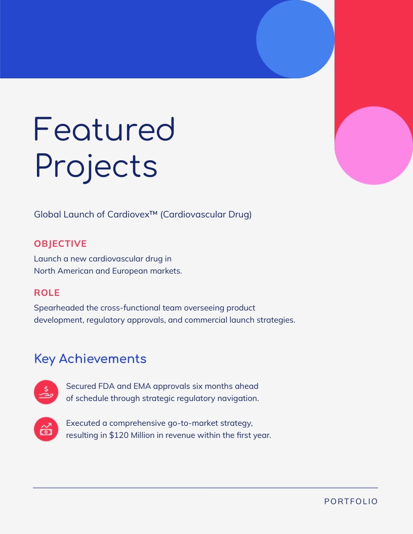 Project Portfolio Management Template | Visme