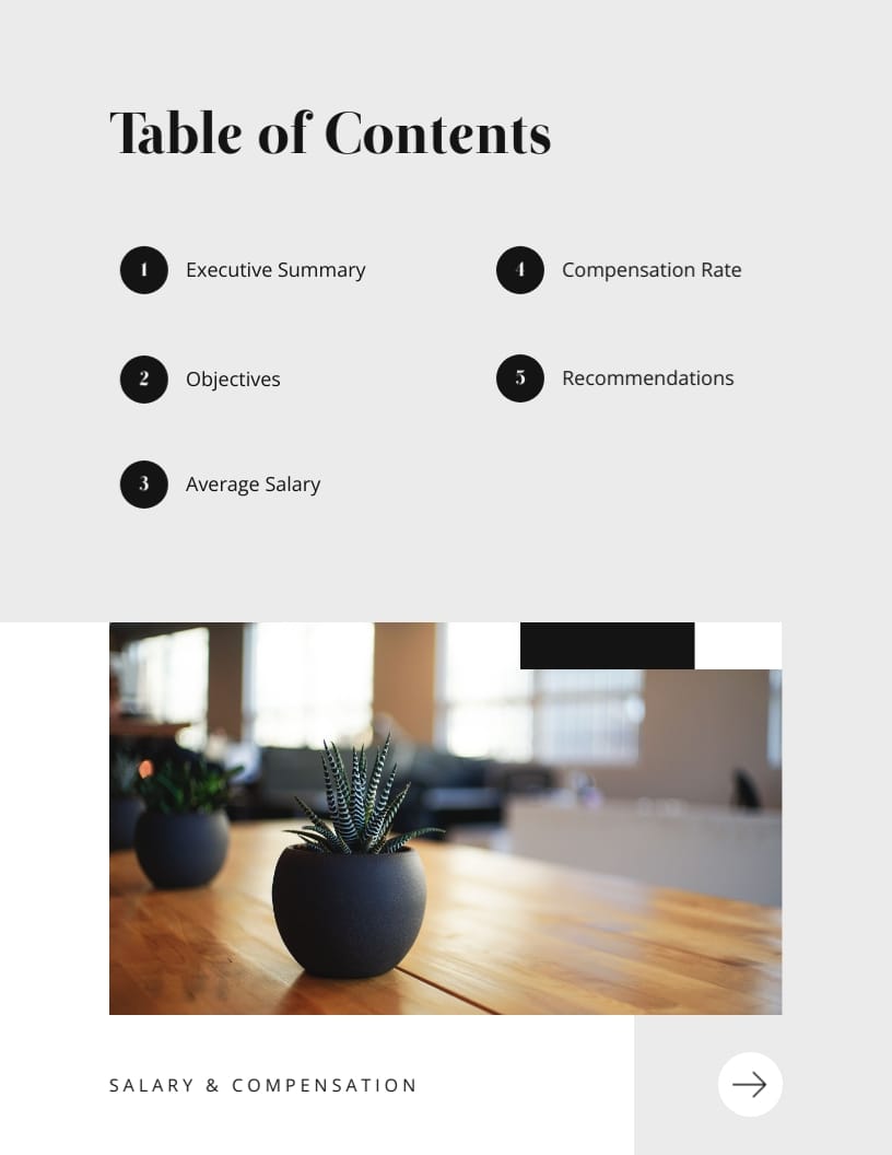 Salary and Compensation HR Report Template | Visme