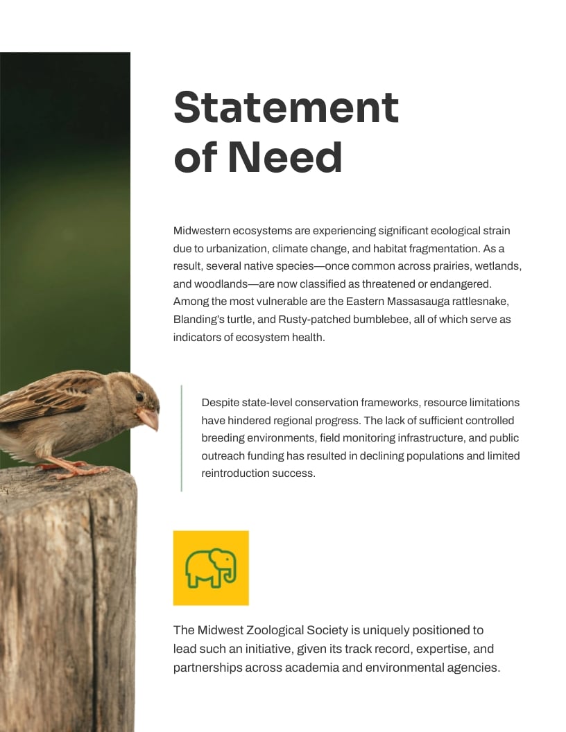 Sample Nonprofit Grant Proposal Template | Visme