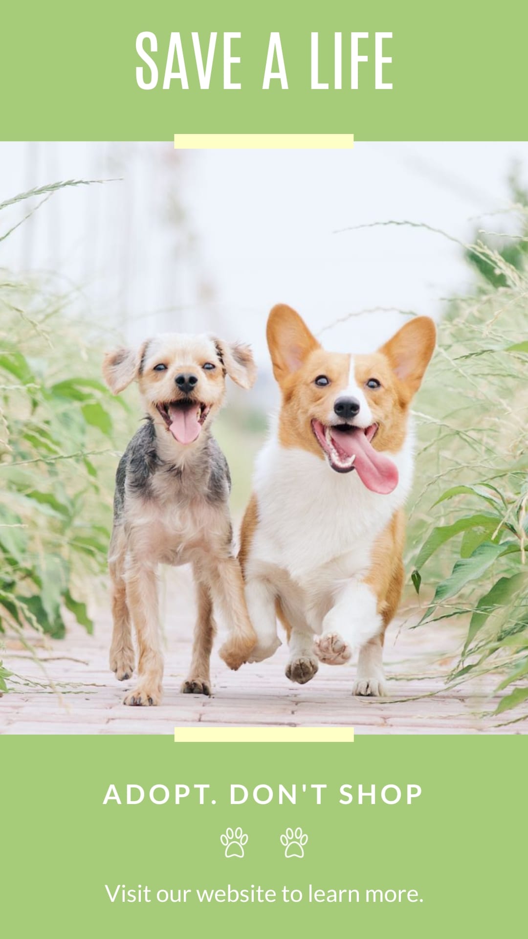 Save a Life Adoption Animated Vertical Template | Visme