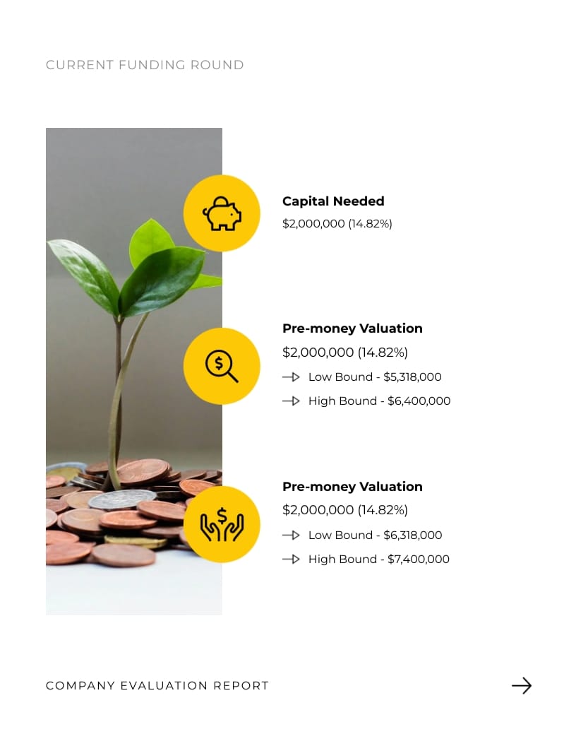 Financial Analysis Report Template | Visme