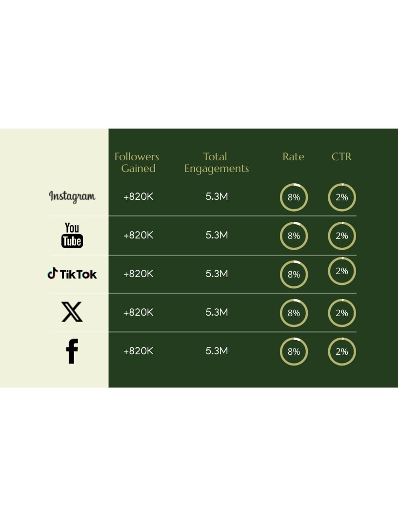 Sports Partner Summary Report Template | Visme