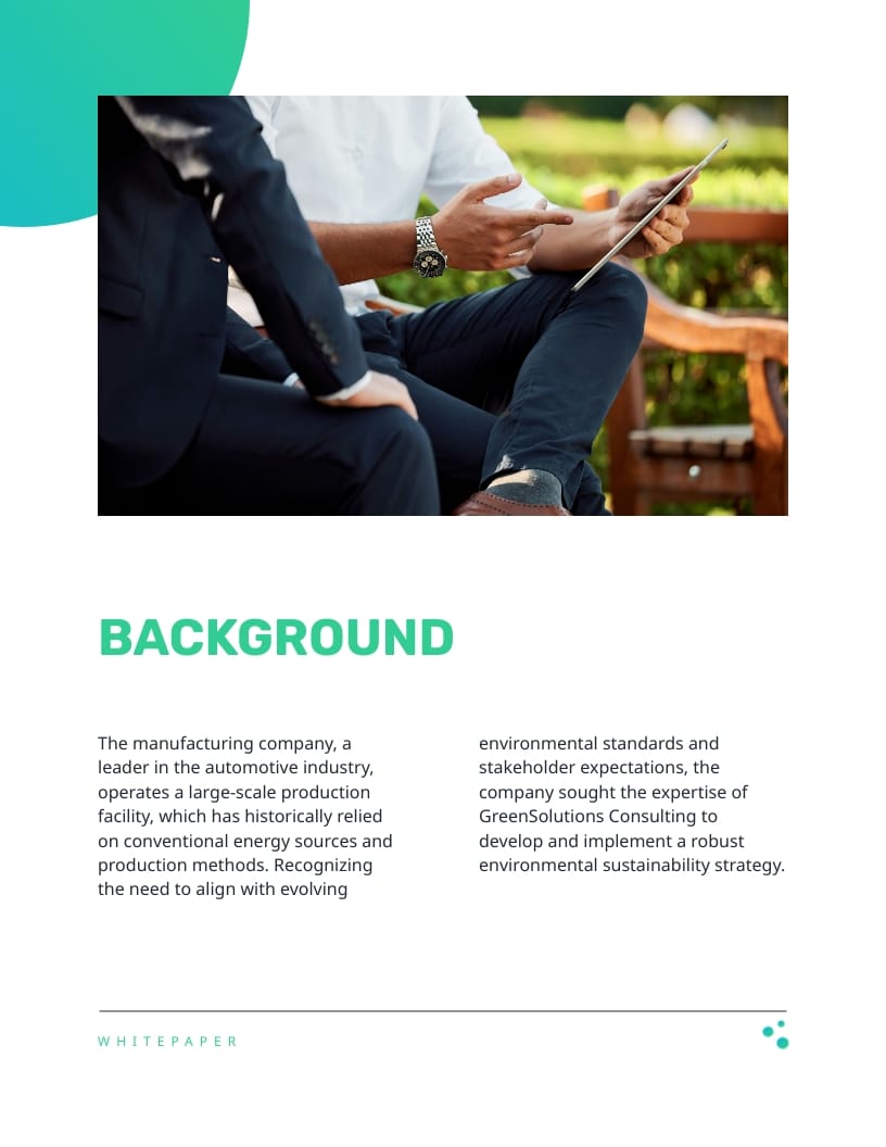 Success Story Whitepaper Template | Visme