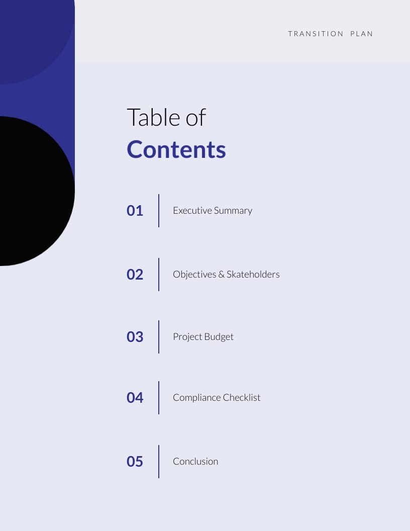 System Transition Plan Template | Visme