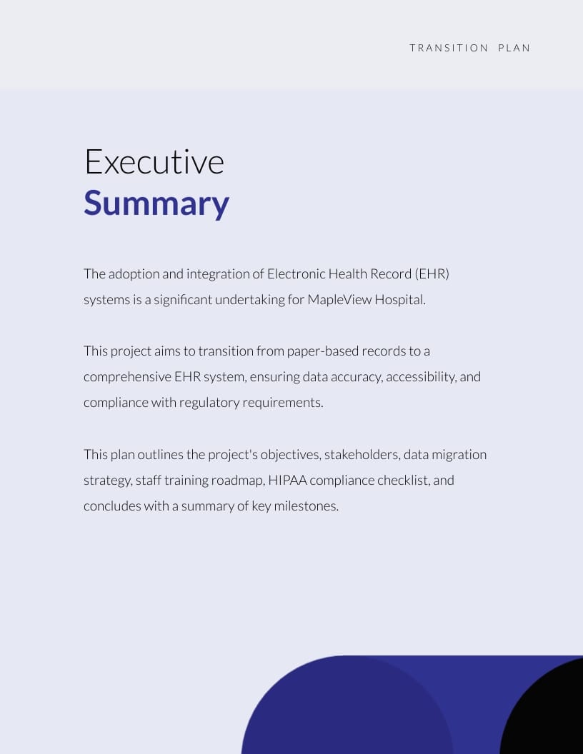 System Transition Plan Template | Visme