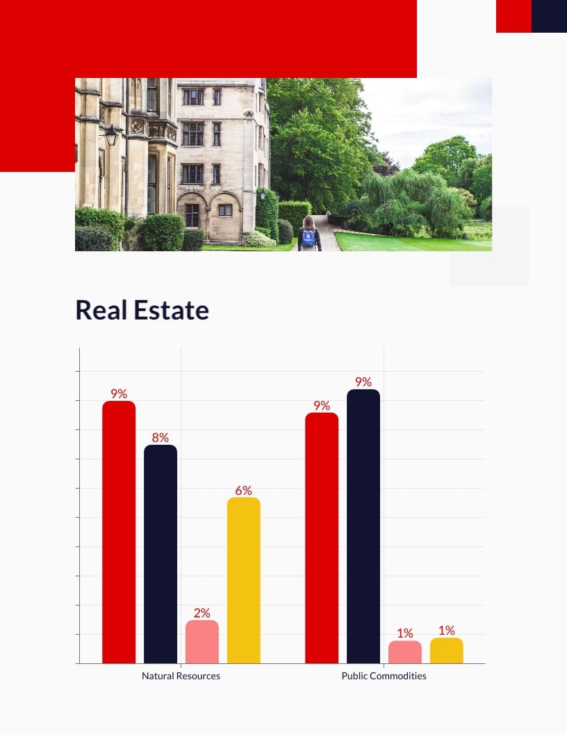 University Finance Report Template | Visme
