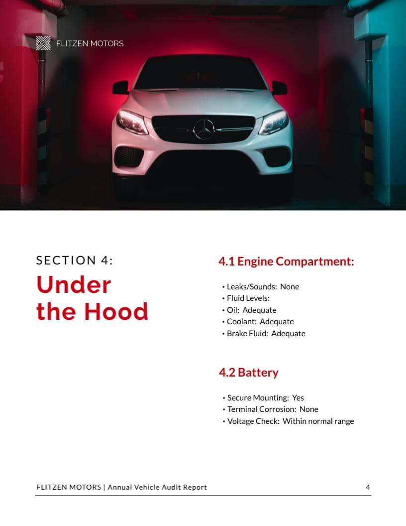 Vehicle Health Audit Report Template | Visme