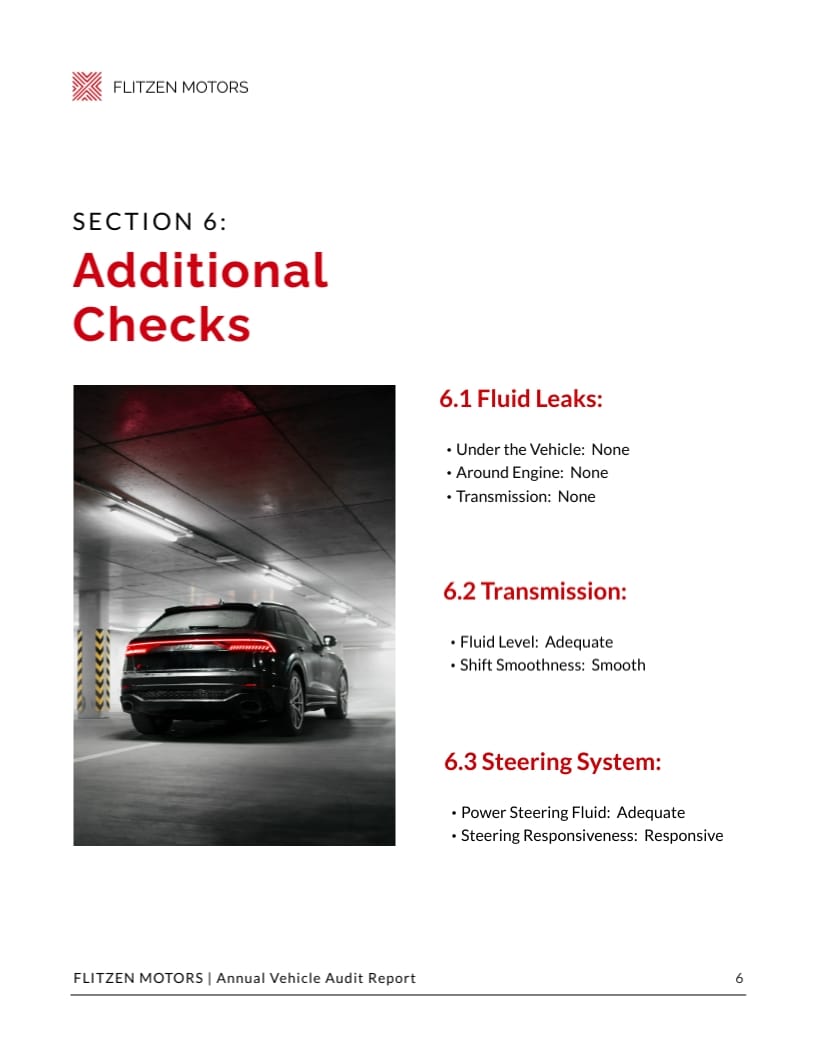 Vehicle Health Audit Report Template | Visme