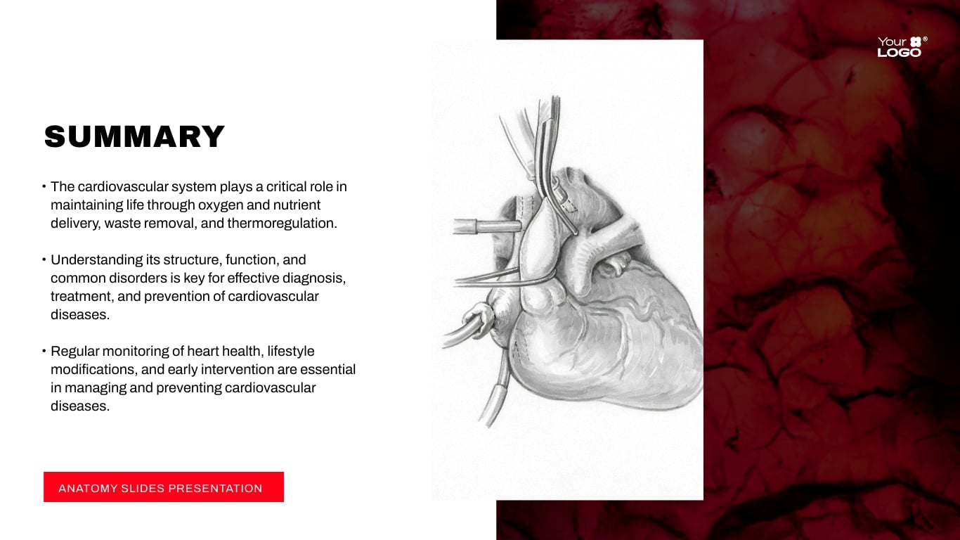 Anatomy Slides Presentation Template | Visme