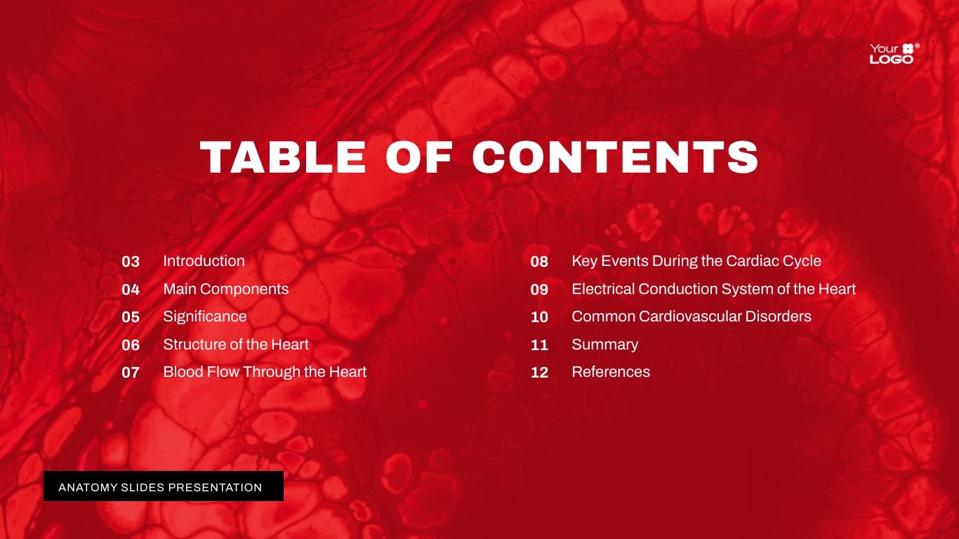 Anatomy Slides Presentation Template | Visme