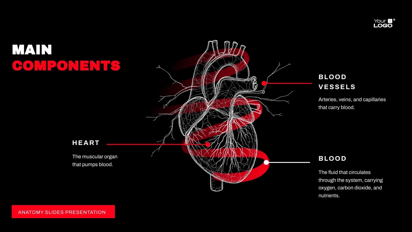 Anatomy Slides Presentation Template | Visme
