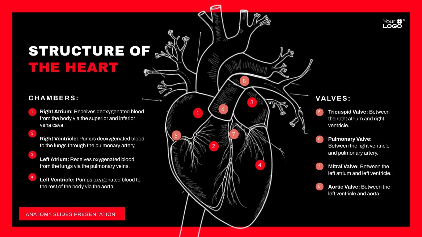 Anatomy Slides Presentation Template | Visme