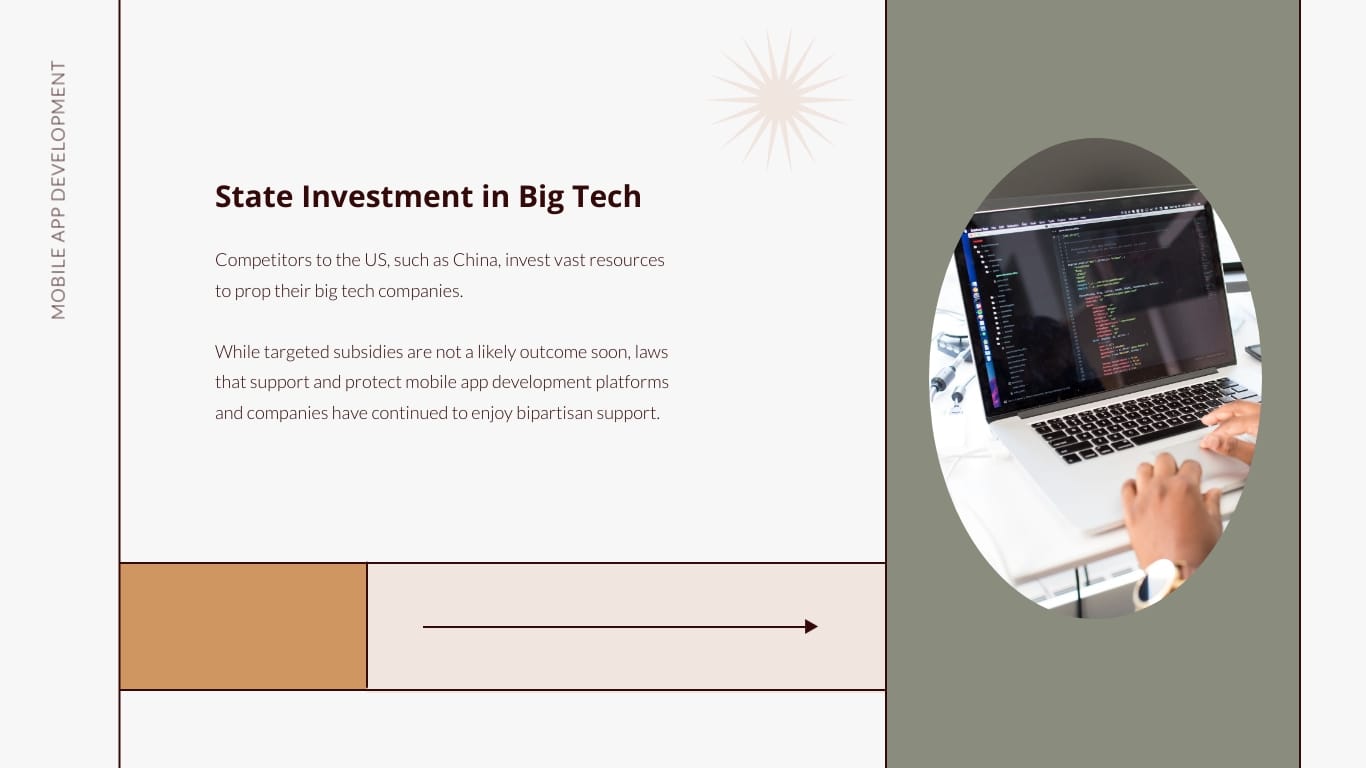 App Developer Stock Pitch Presentation Template | Visme