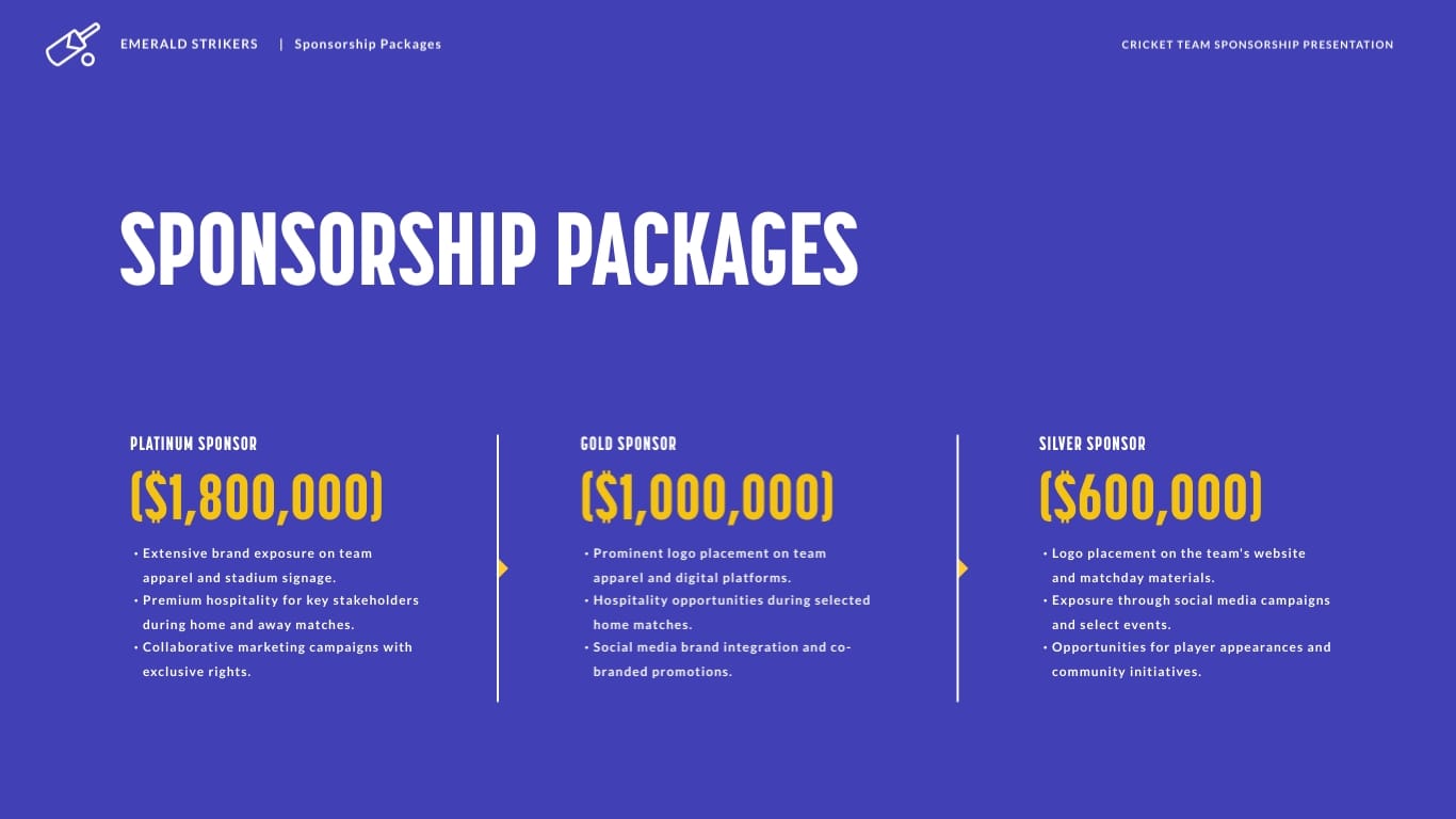 Cricket Team Sponsorship Presentation Template | Visme