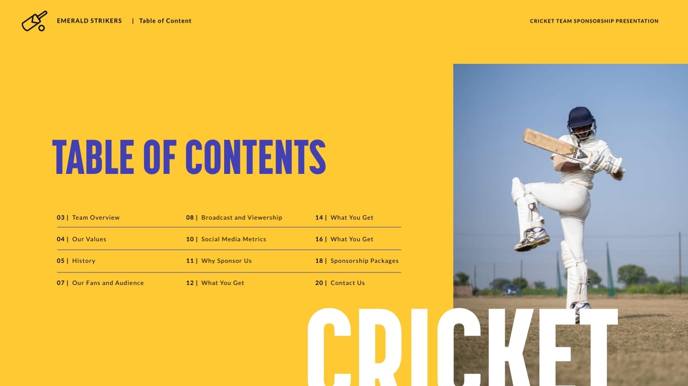 Cricket Team Sponsorship Presentation Template | Visme