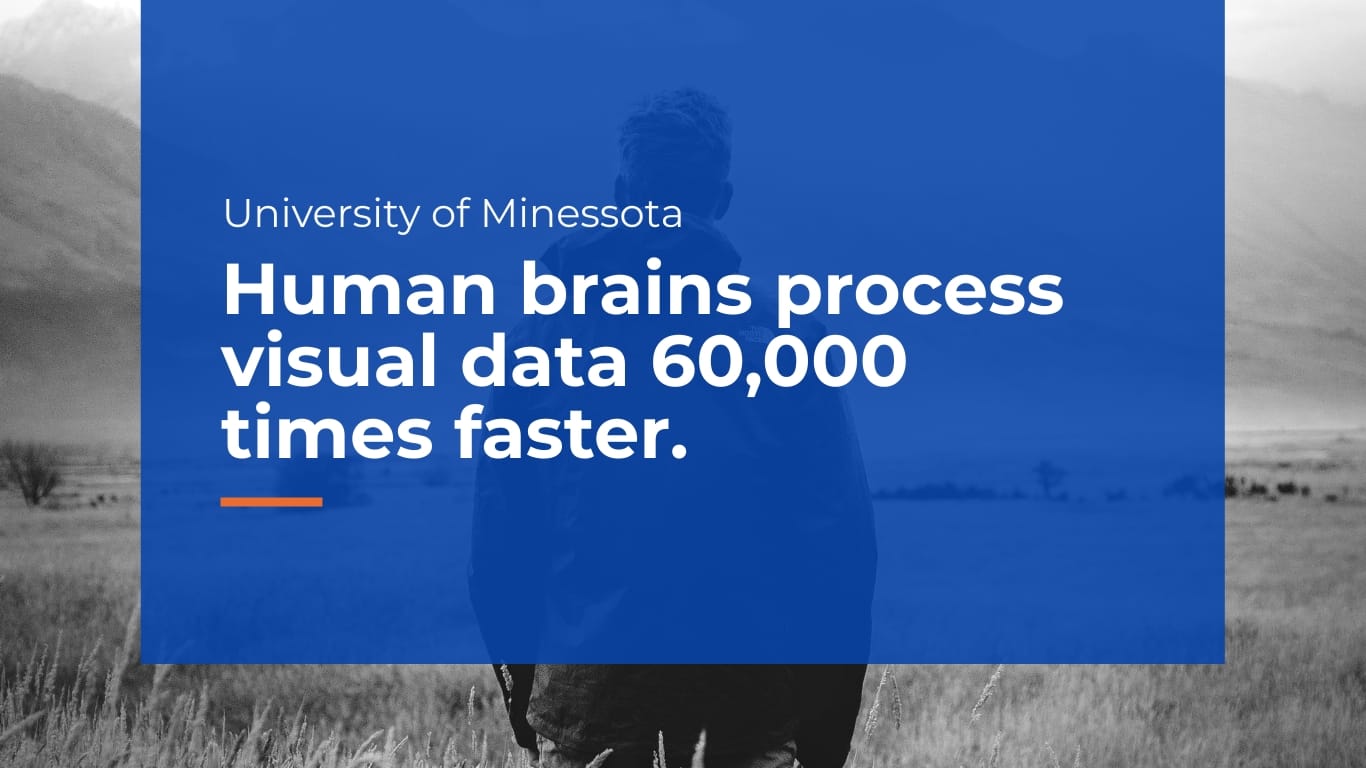 Data Visualization Software Presentation Template | Visme