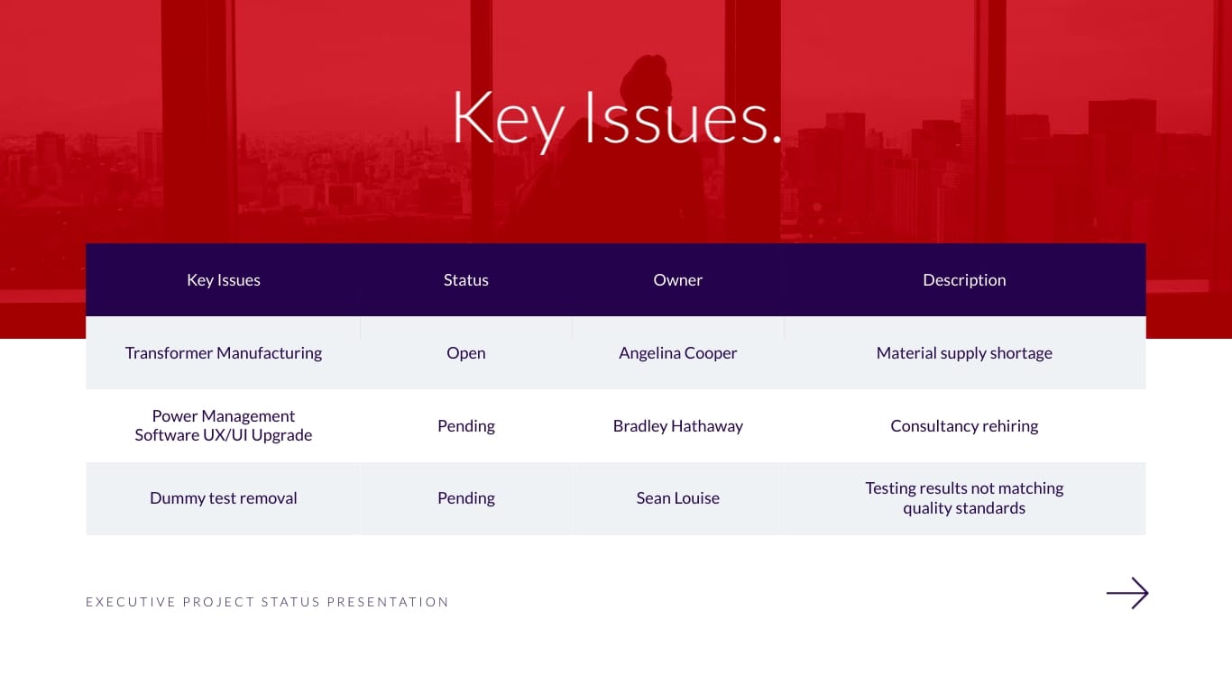Executive Project Status Presentation Template | Visme