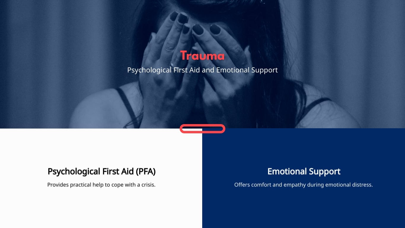 First Aid 101 Training Course Template | Visme
