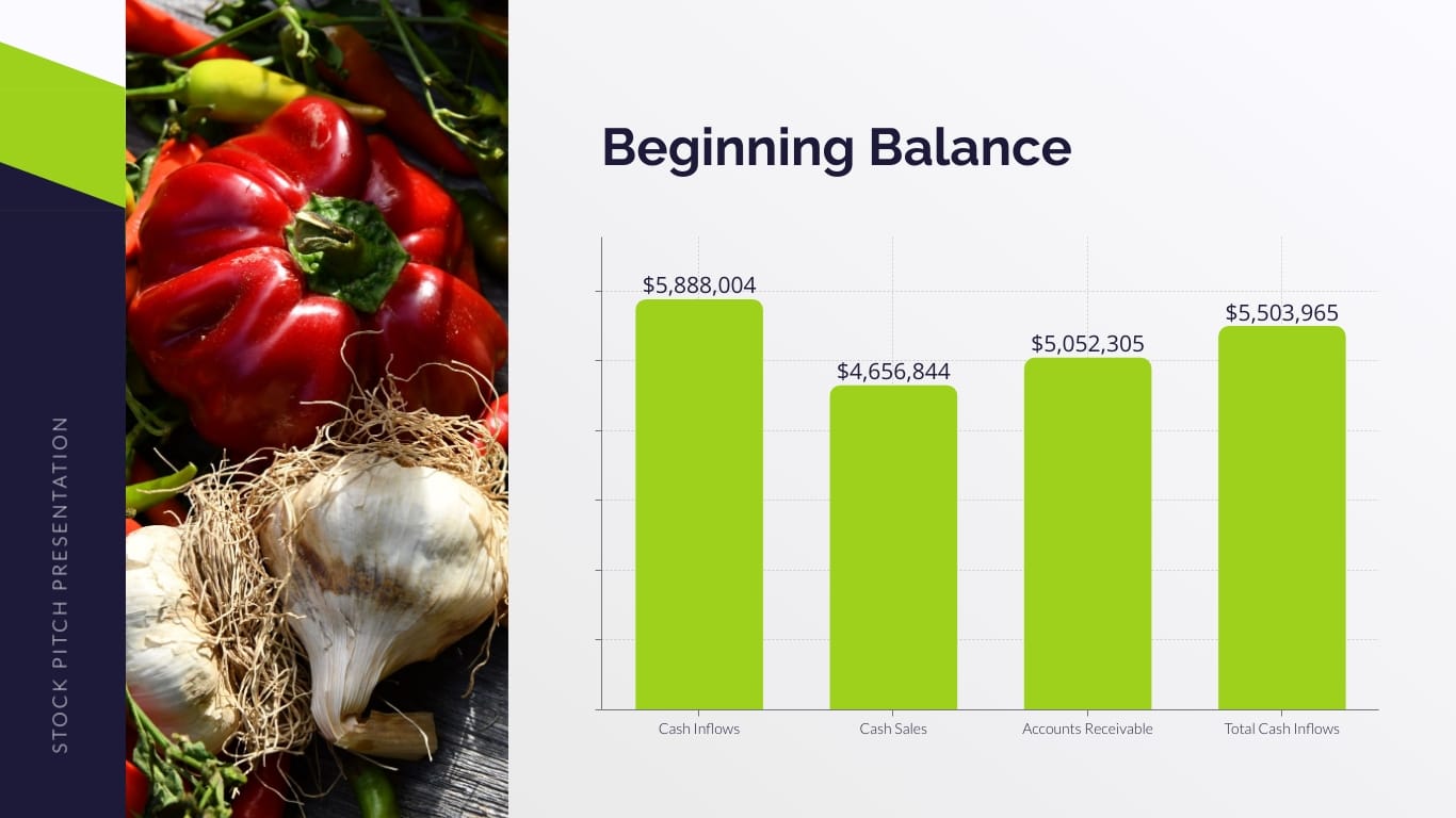 Modern Stock Pitch Presentation Template | Visme